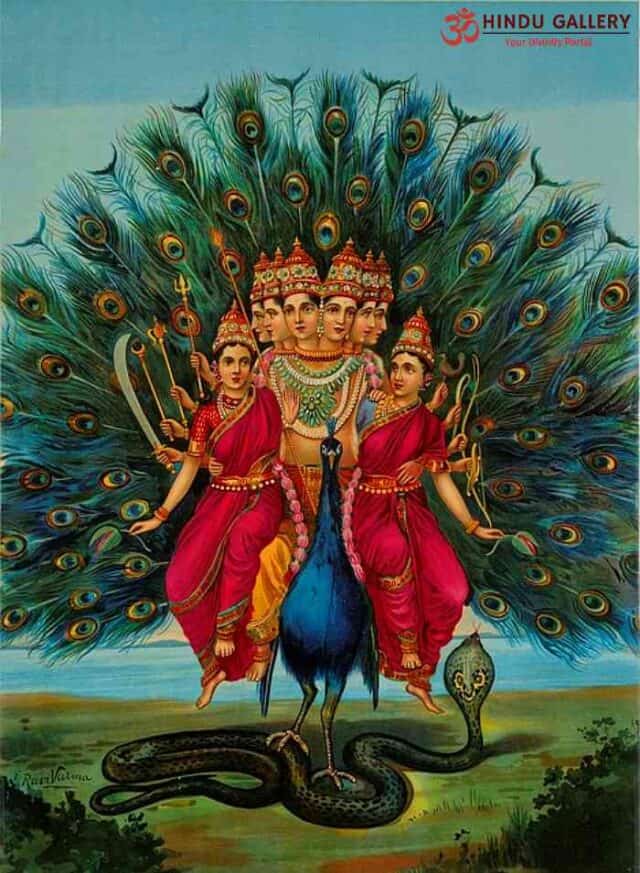 Shree Subramanya Ashtothara Satha Namavali I Hindu Gallery