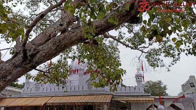 Panchkula Temples I Significance I Hindu Gallery